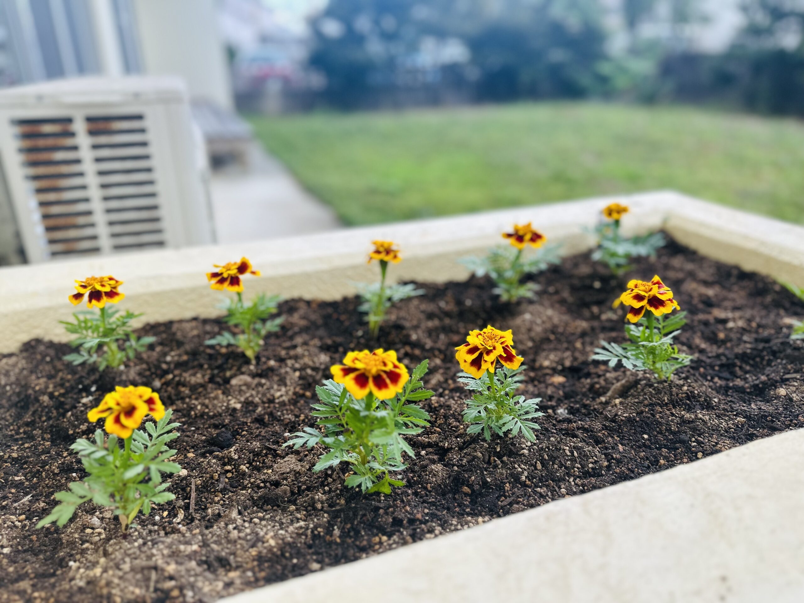 世界の福祉制度比較：各国の特徴と日本が学ぶべきポイント | NPO法人琉仁福祉会｜埼玉・沖縄の就労継続支援B型事業所